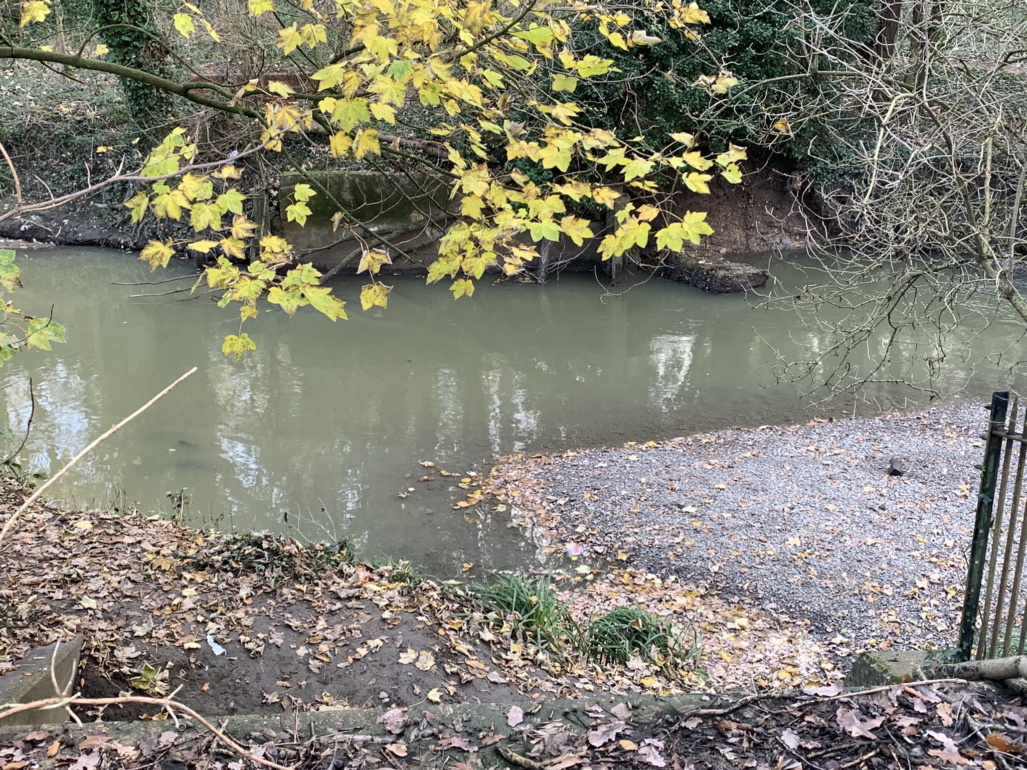 Local campaigners concerned that River Brent pollution continues and is ...